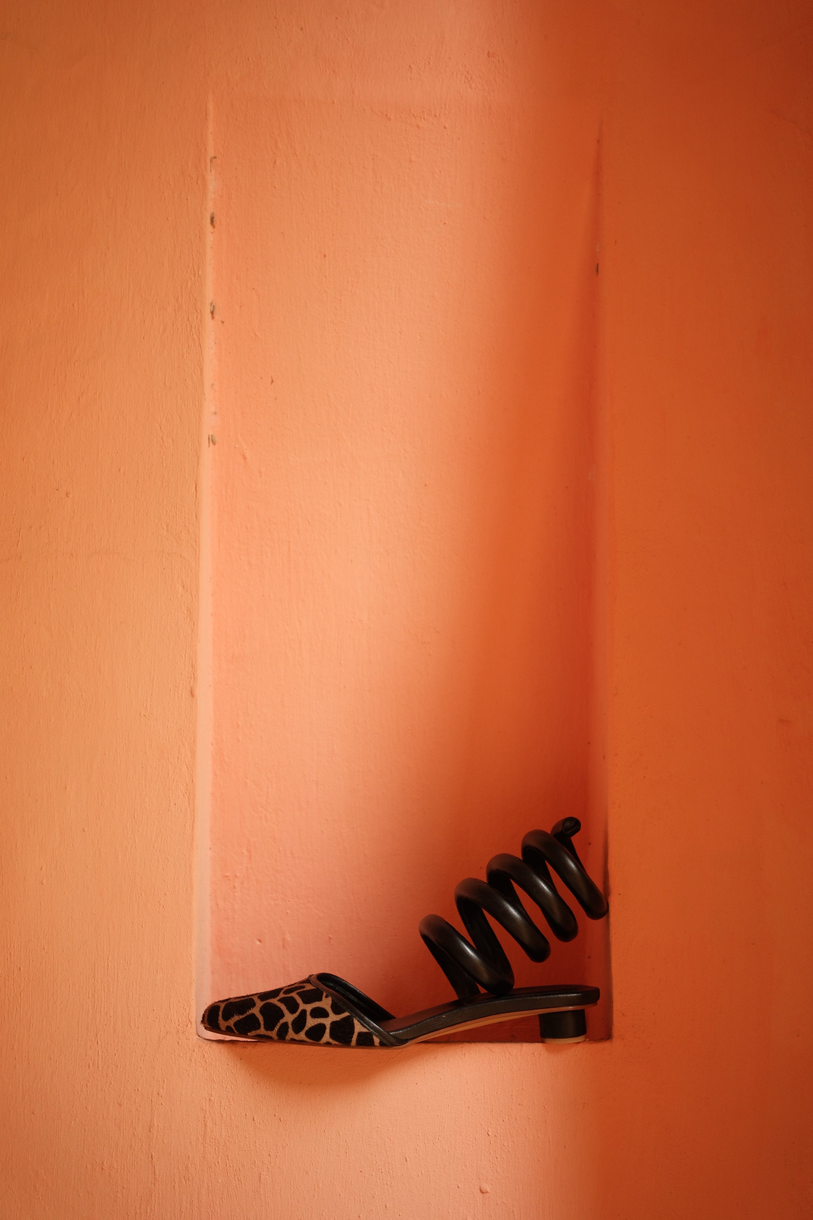 En Cierne – Javier Jimenez